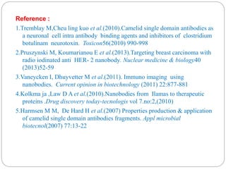 single chain fragment variable antibody(ScFv) | PPTX