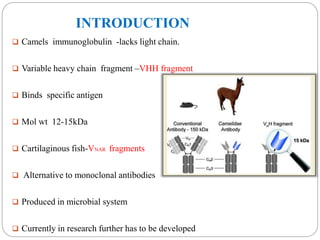 single chain fragment variable antibody(ScFv) | PPTX