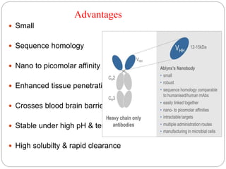 single chain fragment variable antibody(ScFv) | PPTX