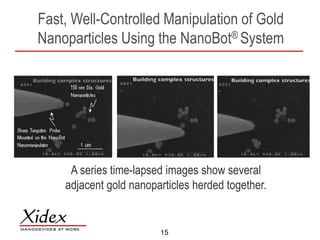 NanoBot nanomanipulator installation and operation 110321 | PDF