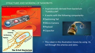 Nano bots | PPT
