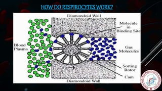Nanobots: Lecture on the Artificial Blood | PPTX