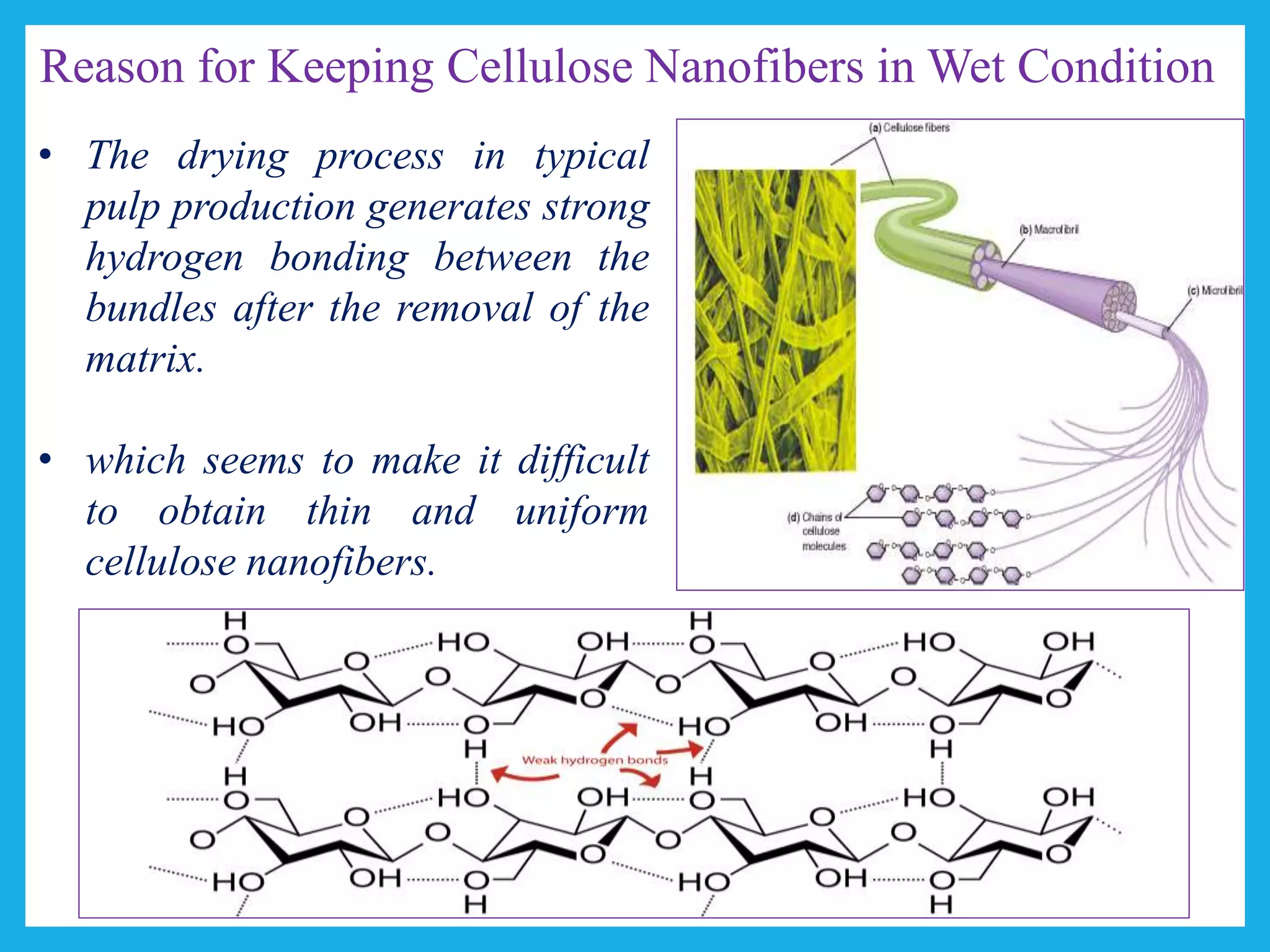 Nano cellulose | PPTX
