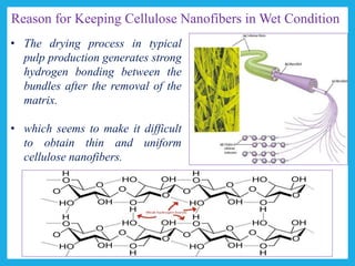 Nano cellulose | PPTX