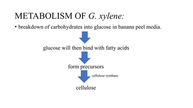 NANOCELLULOSE PPT.pptx | Chemistry | Science
