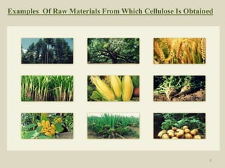 Cellulose Examples