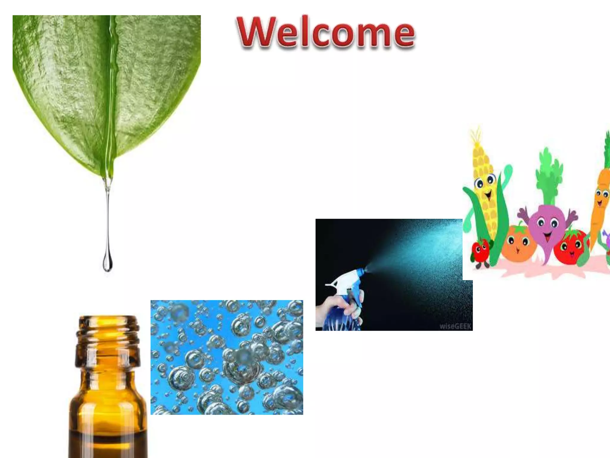 Nano edible coating of fruits and vegetables | PPTX