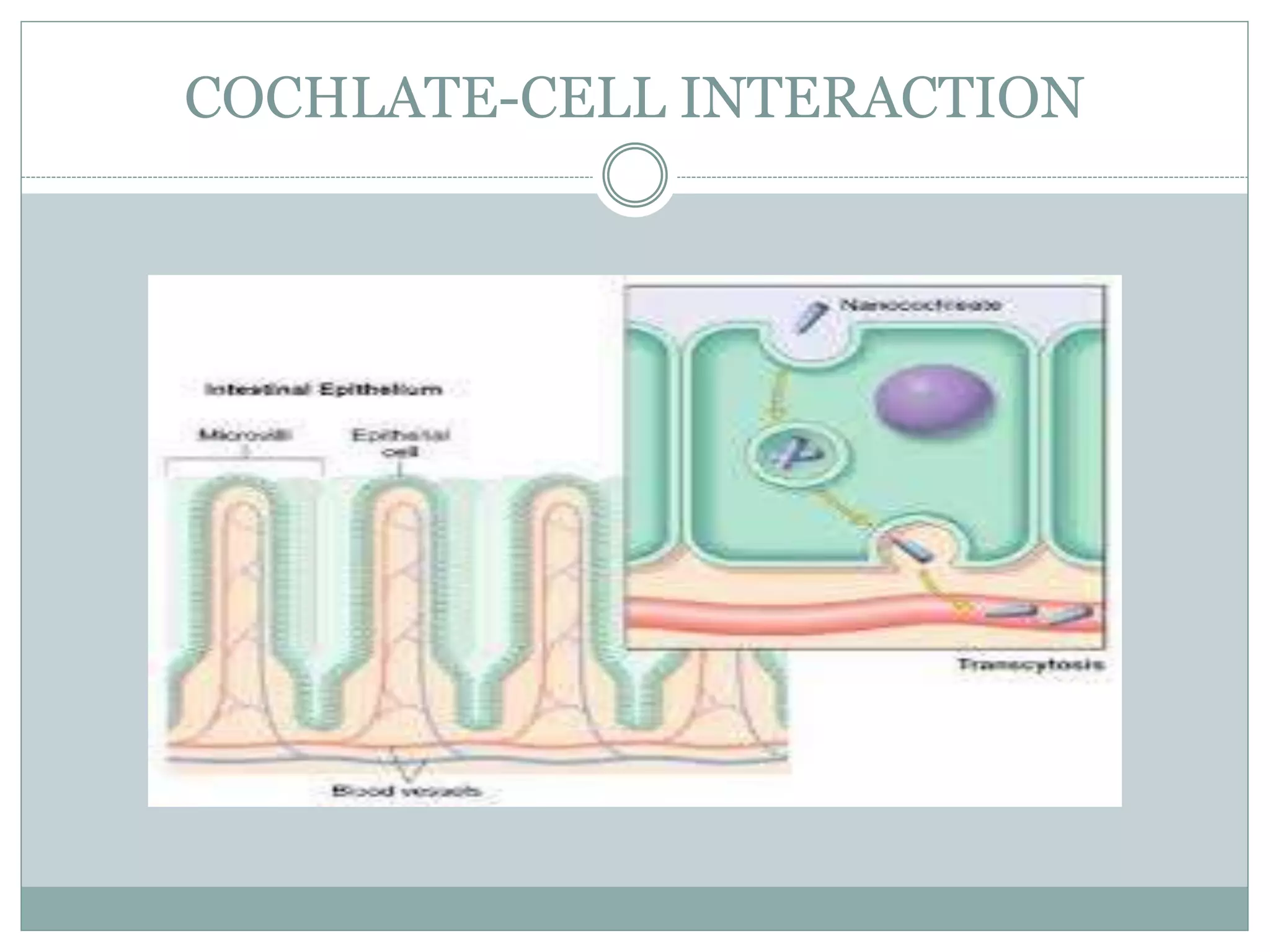 Nanocochlates a novel way of drug dlivery (114) | PPTX