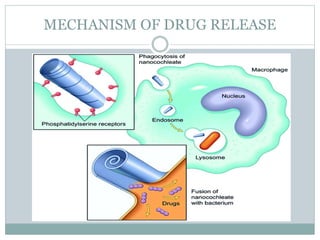 Nanocochlates a novel way of drug dlivery (114) | PPTX