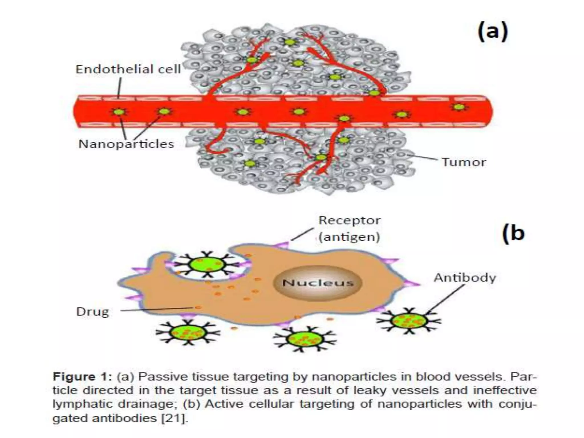 Nano drug delivery system for the cancer therapy | PPTX | Cancer ...