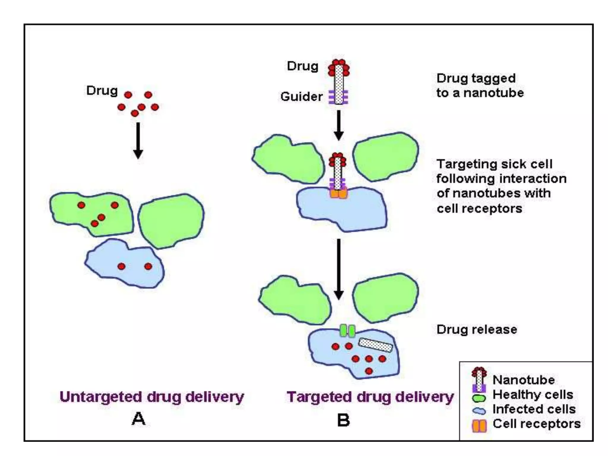 Nano drug delivery system for the cancer therapy | PPTX | Cancer ...