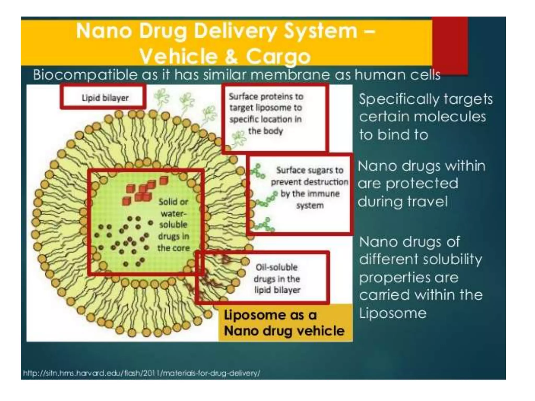 Nano drug delivery system for the cancer therapy | PPTX | Cancer ...