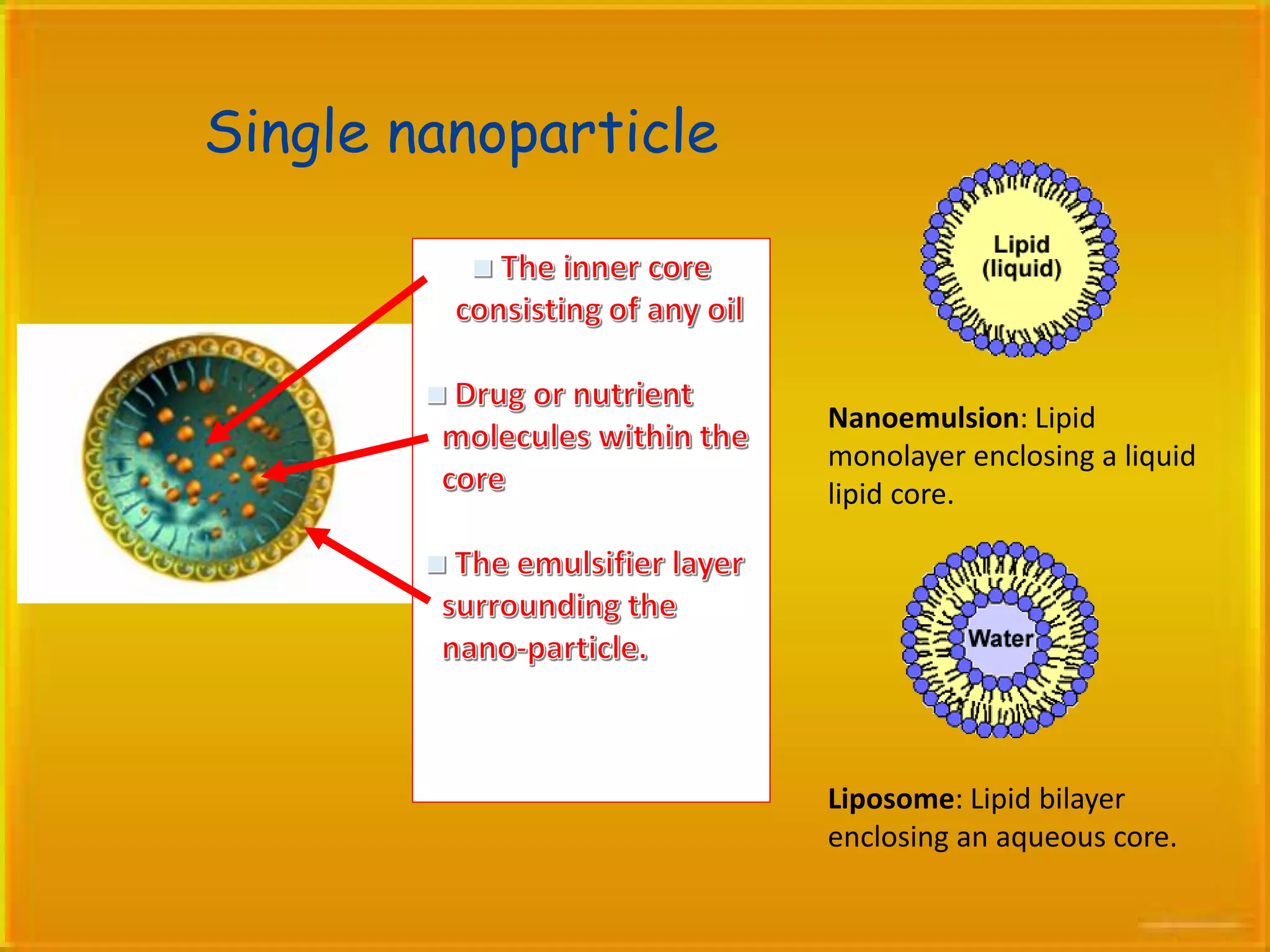 Nanoemulsion | PDF