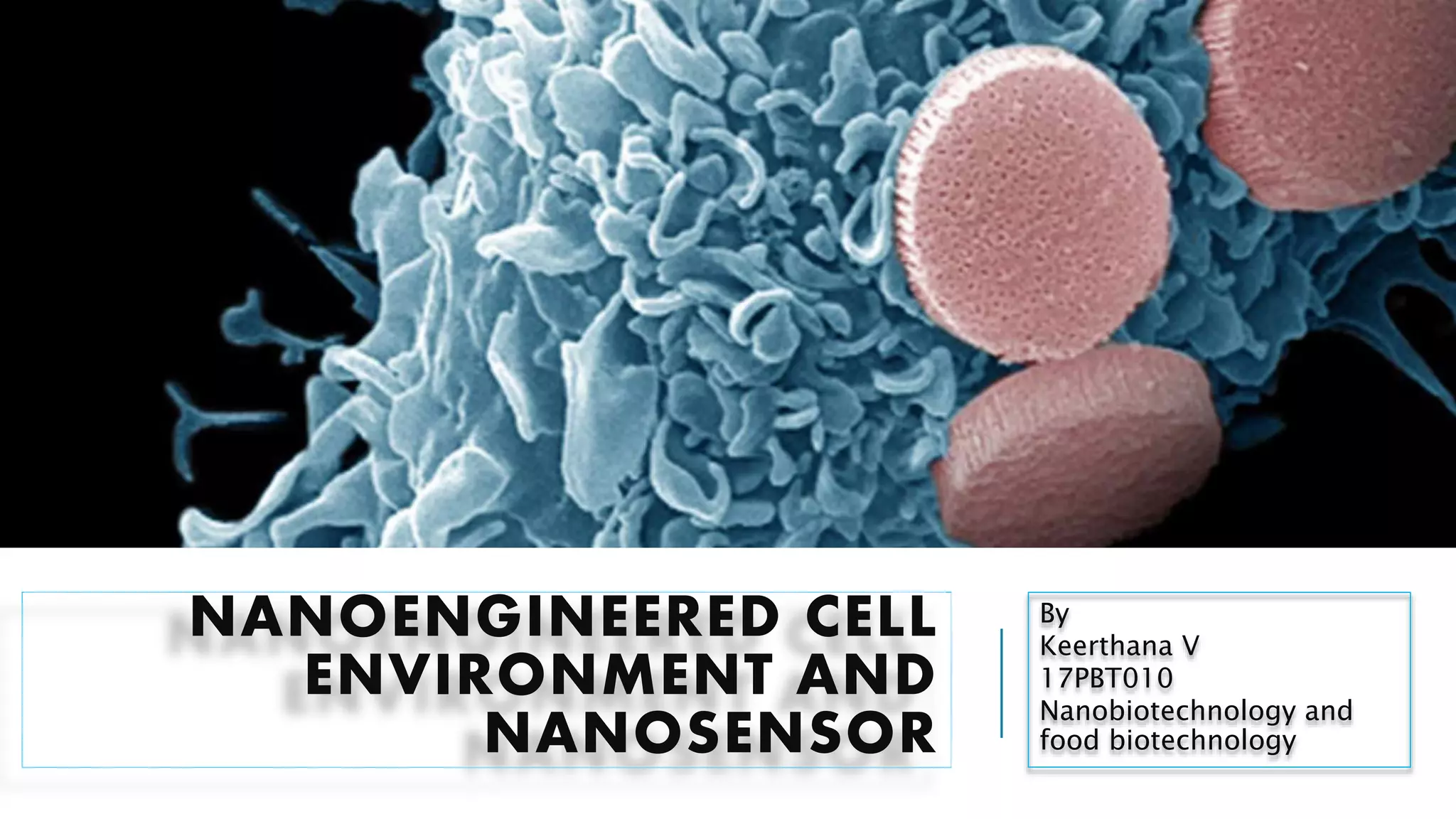 Nanoengineered cell environment and nanosensor | PPTX