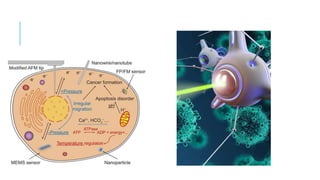 Nanoengineered cell environment and nanosensor | PPTX