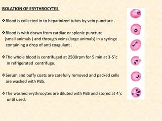 Nanoerthyrosomes As Novel drug carriers | PPT