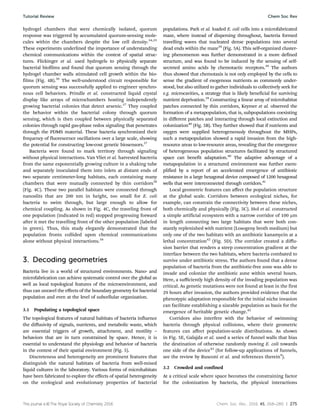 Nanofabricated-structures-and-microfluidic-devices-for-bacteria-from-techniques-to-biology ...