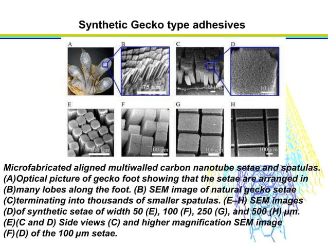 introduction to Nanofabrication techniques.ppt | Chemistry | Science