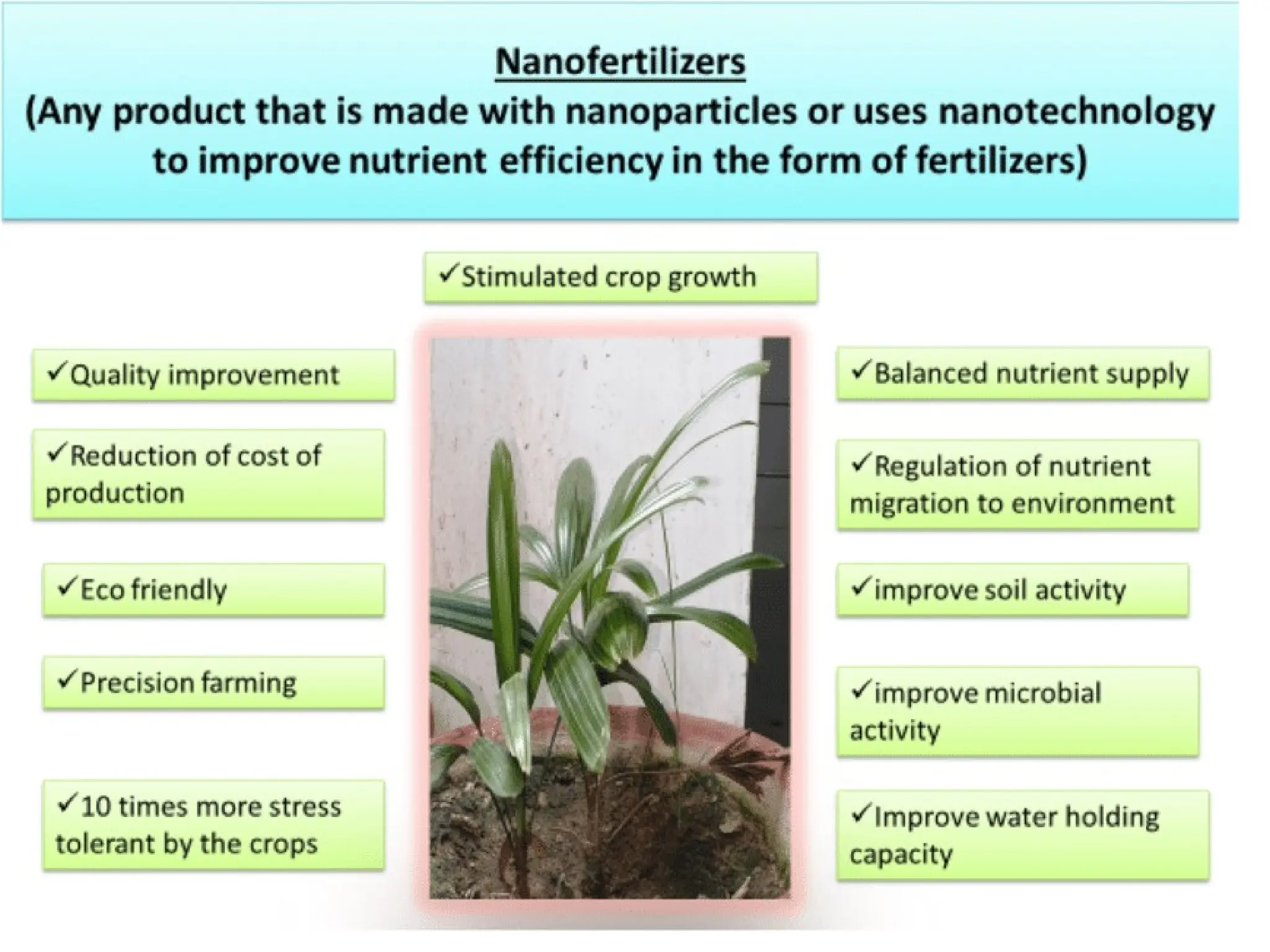 Nano Fertilizers and its use in Agriculture Industry. | PPTX