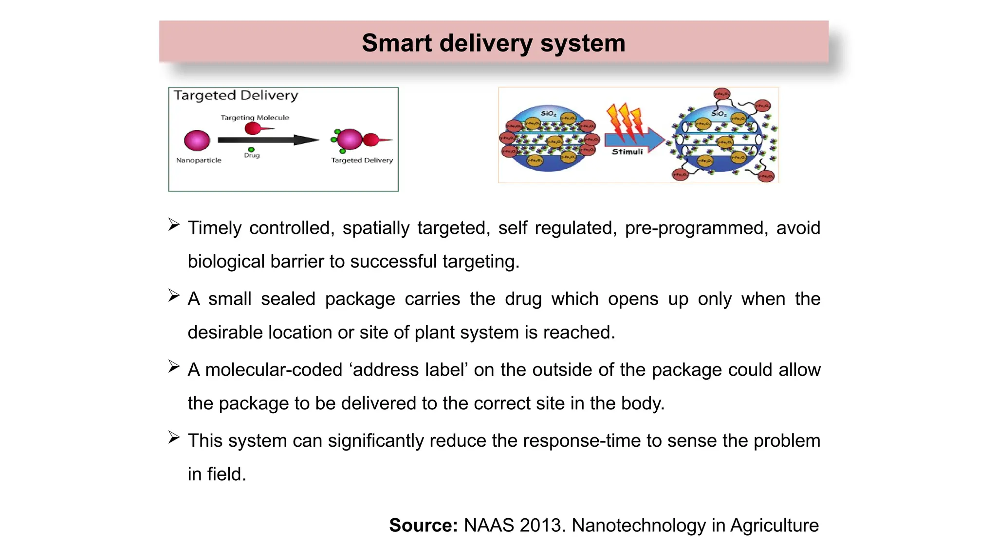 Nano fertilizers: A Revolutionary Approach to Sustainable Agriculture.pptx
