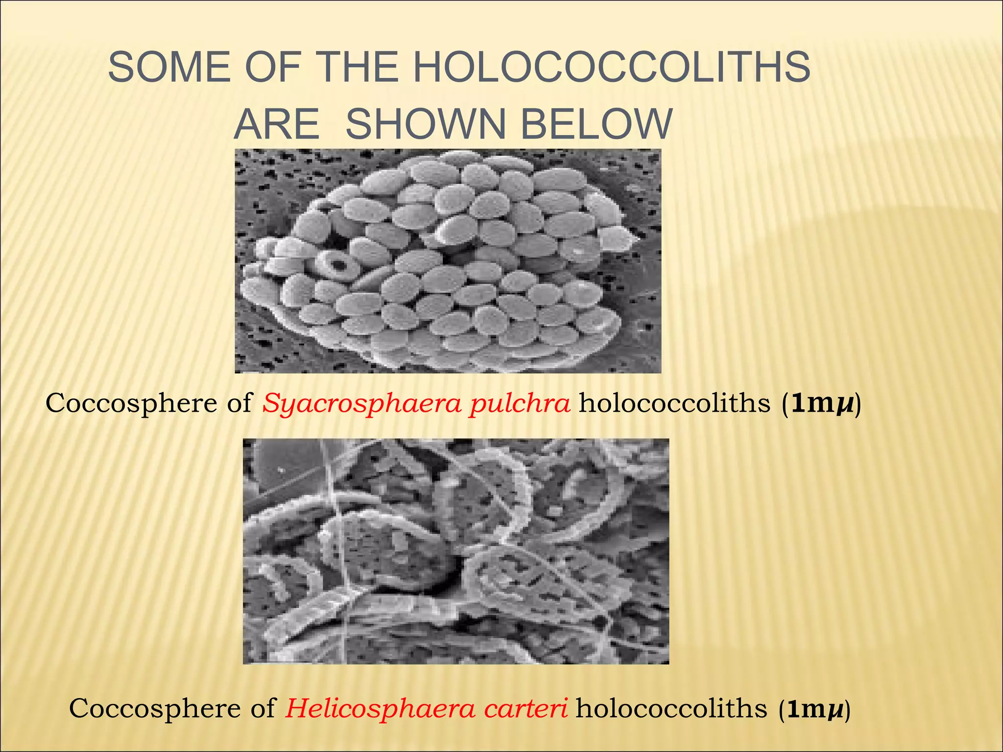 Nano fossils and it’s significance in nano geo-science | PPT