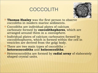 Nano fossils and it’s significance in nano geo-science | PPT ...