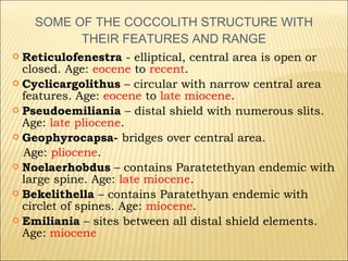 Nano fossils and it’s significance in nano geo-science | PPT ...