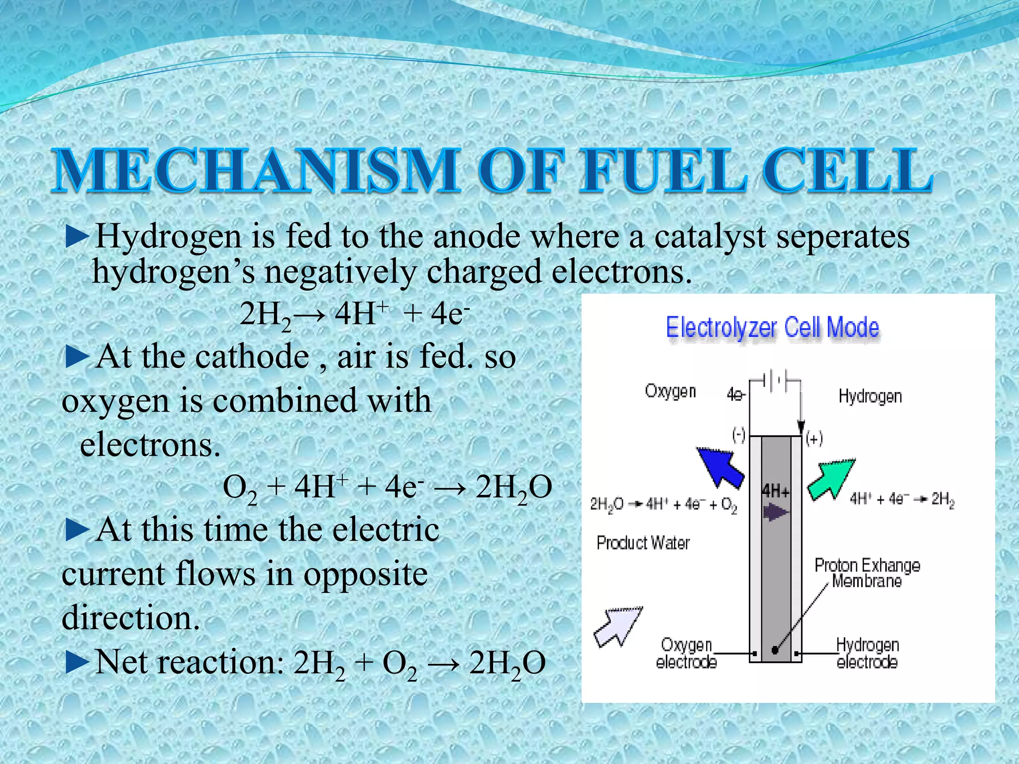 Nano fuel cell | PPTX