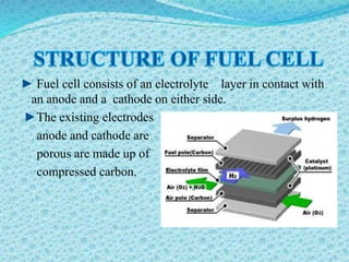 Nano fuel cell | PPTX