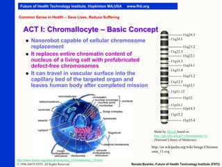 Nanofuture 101: Nanorobots Chromallocytes and Diamond Mechanosynthesis ...