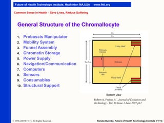 Nanofuture 101: Nanorobots Chromallocytes and Diamond Mechanosynthesis ...