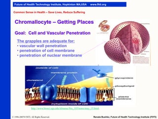 Nanofuture 101: Nanorobots Chromallocytes and Diamond Mechanosynthesis ...