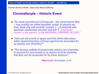Nanofuture 101: Nanorobots Chromallocytes and Diamond Mechanosynthesis ...