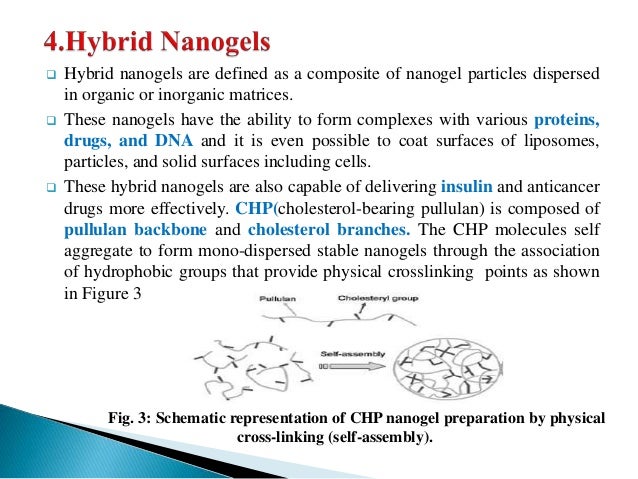 Nanogel drug delivery system