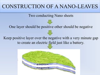 Energy harvesting using nano leaves | PPT