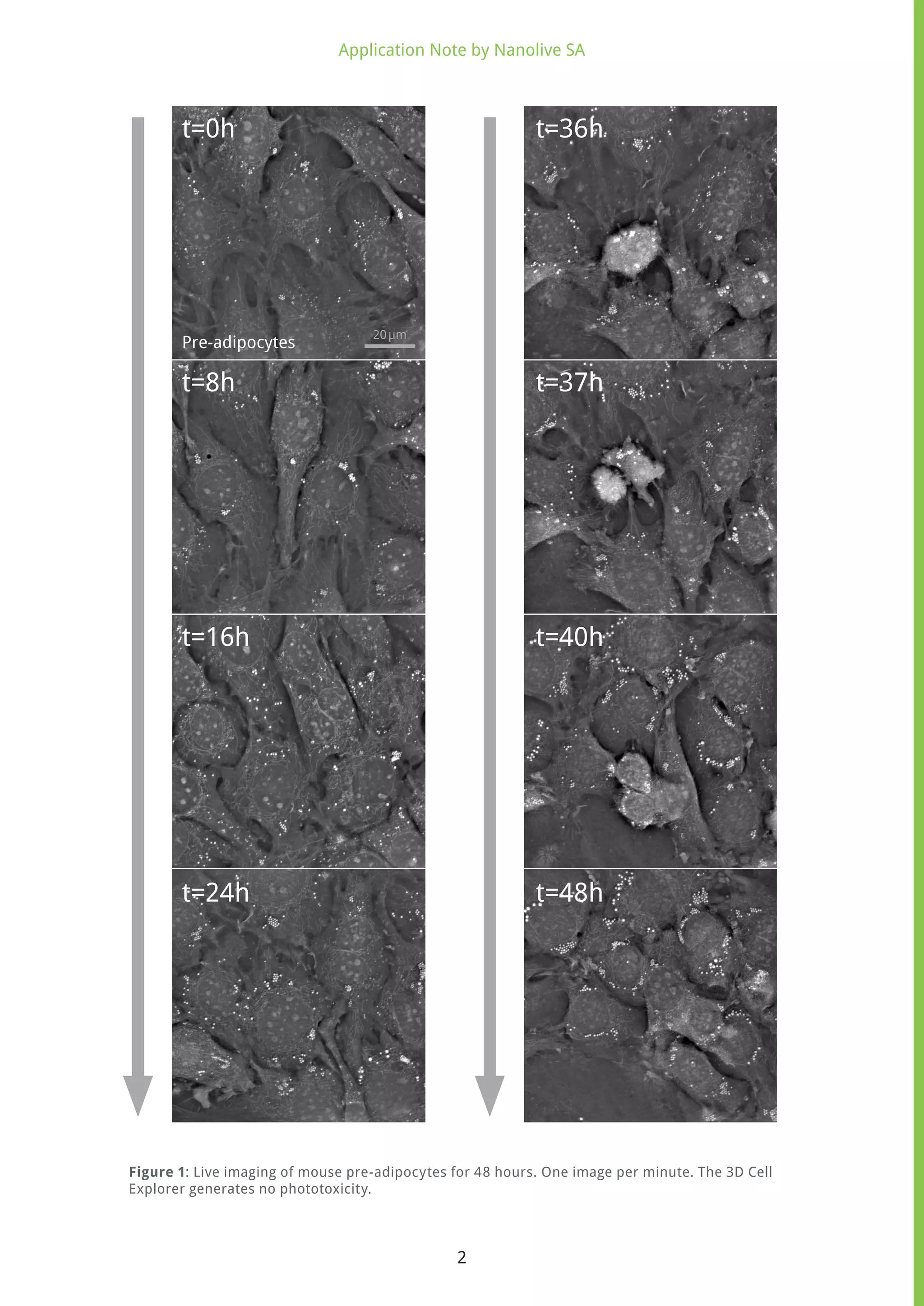 Best Experimental Practices for Live Cell Imaging with the 3D Cell ...