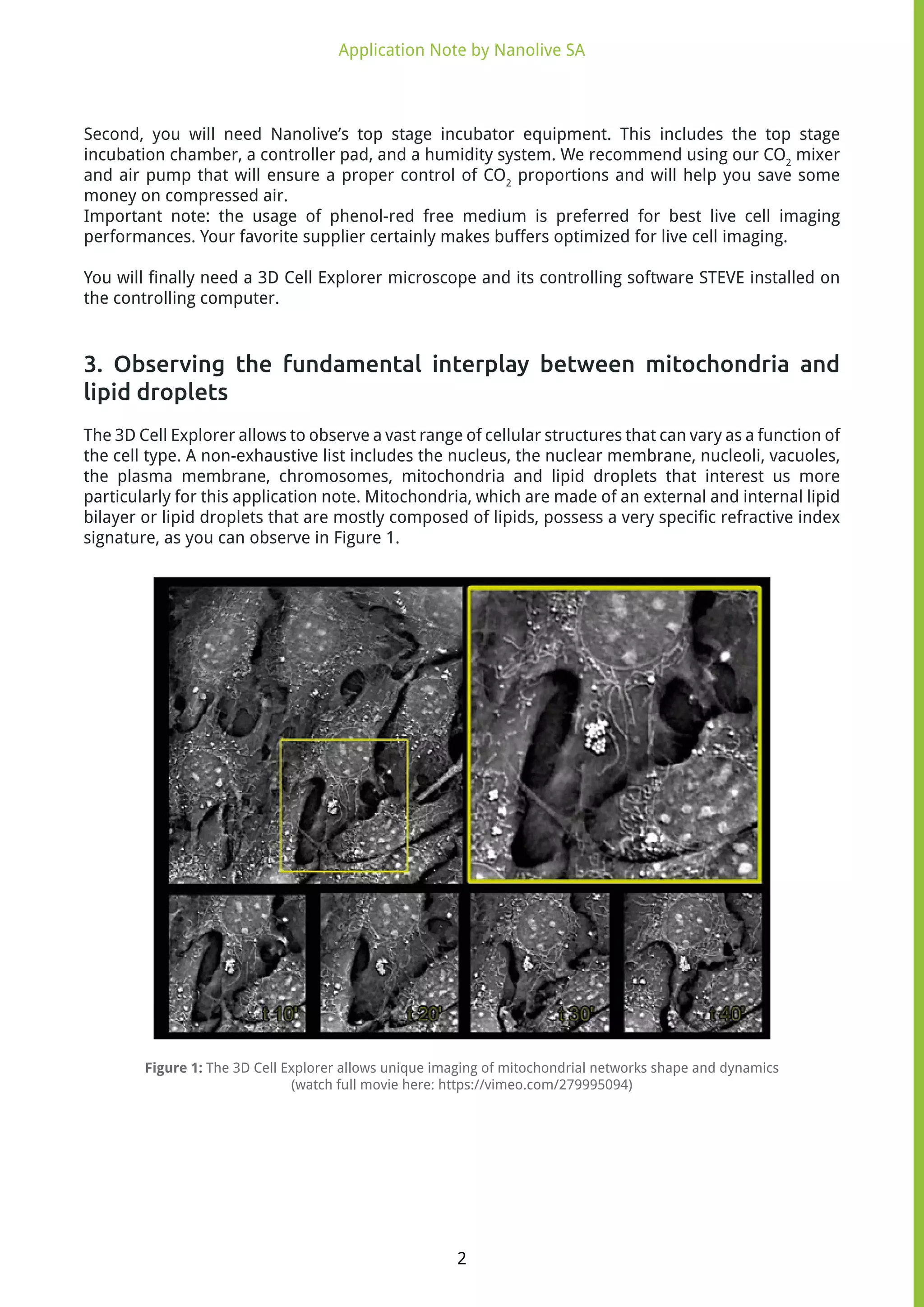 Investigating cellular metabolism with the 3D Cell Explorer | PDF