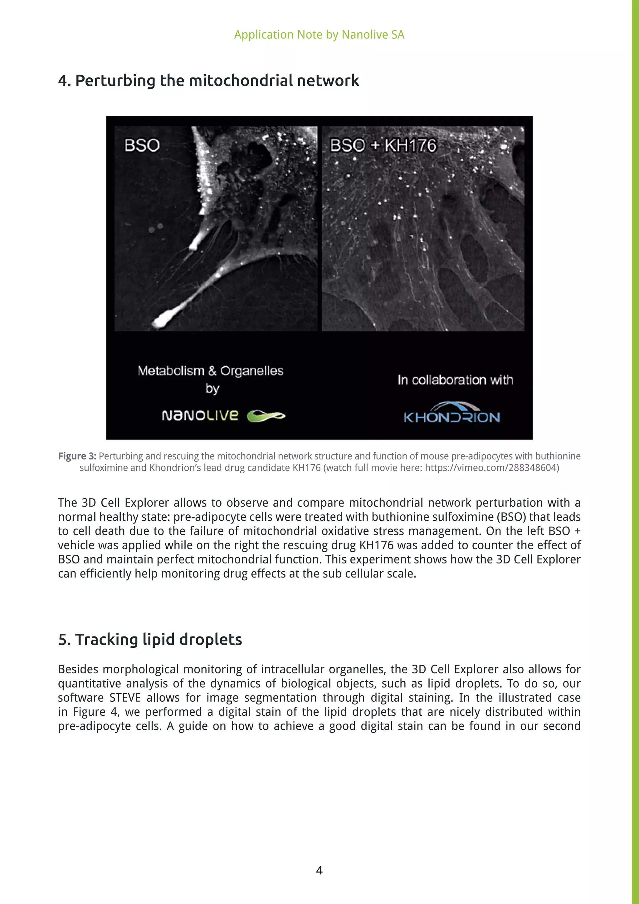 Investigating cellular metabolism with the 3D Cell Explorer | PDF