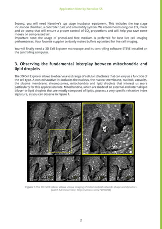 Investigating cellular metabolism with the 3D Cell Explorer | PDF