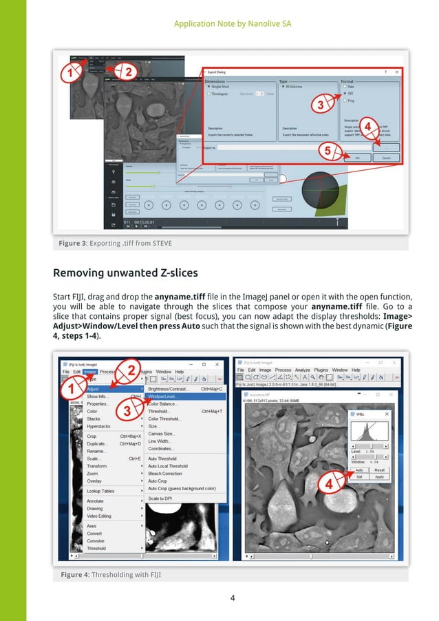 Visualizing three-dimensional data produced by the 3D Cell Explorer | PDF
