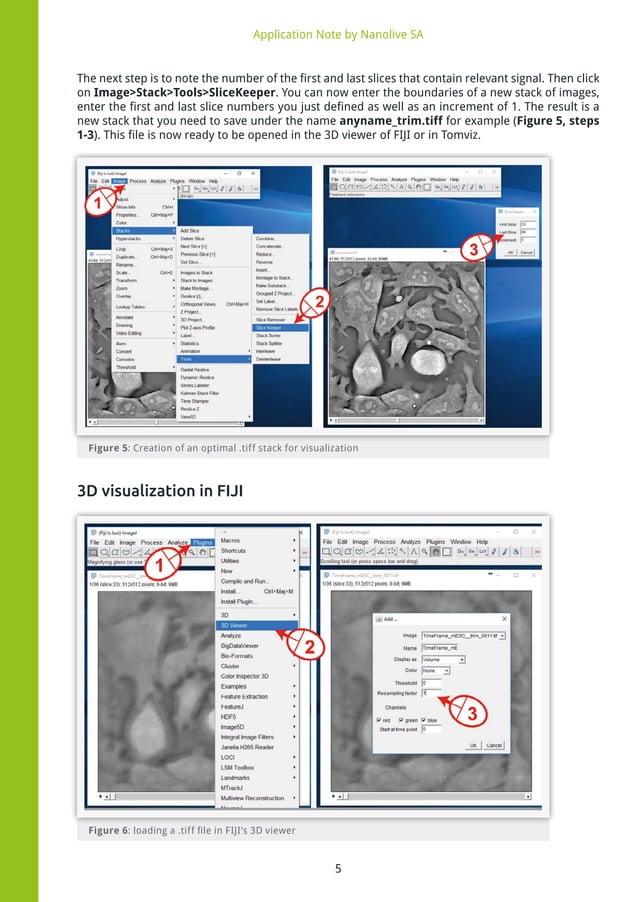 Visualizing three-dimensional data produced by the 3D Cell Explorer | PDF