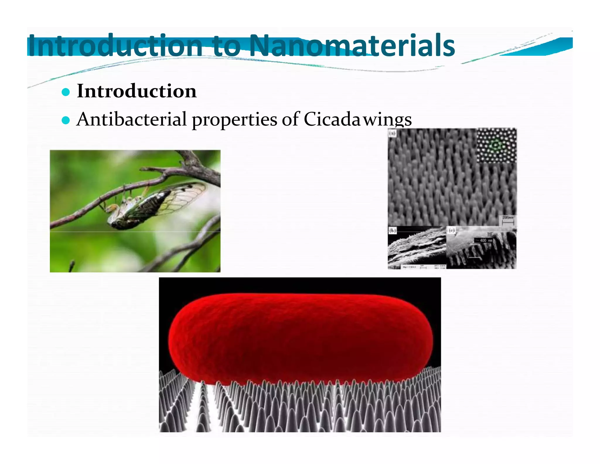 Nanomaterials | PPTX