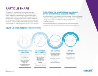 NANOMATERIALS: How To Overcome REACH Regulatory Challenges | PDF