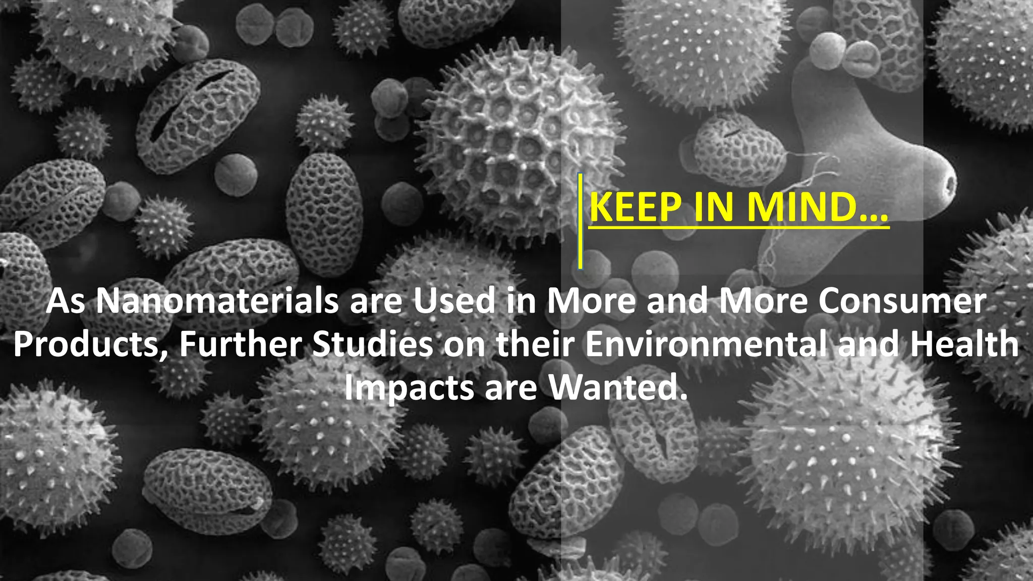 Environmental Impact of Engineered Nanomaterials | PDF