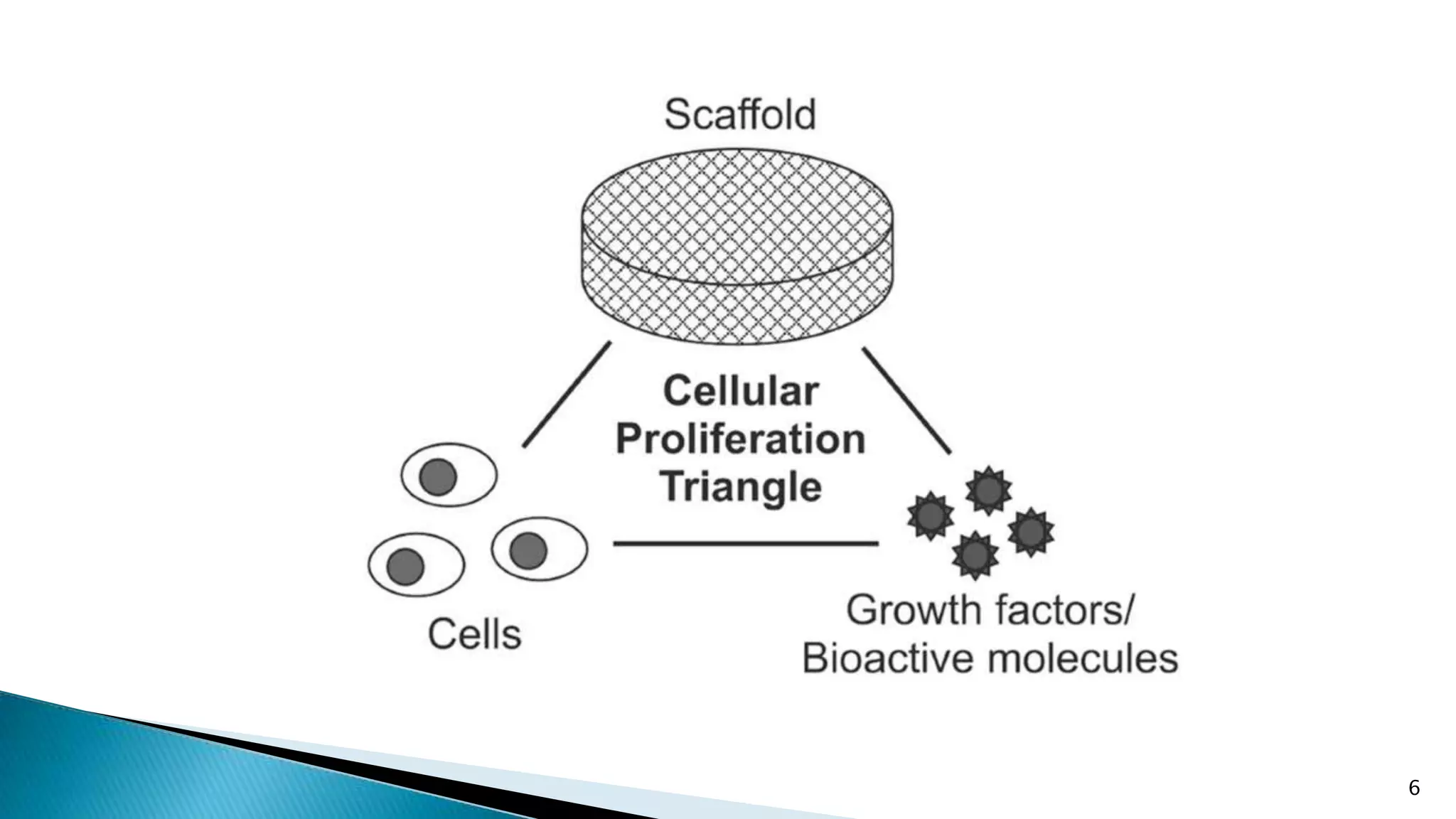 Biomaterials in tissue engineering | PPTX