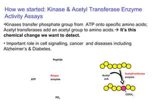 Nanoparticle assay | PPT