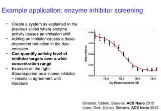 Nanoparticle assay | PPT