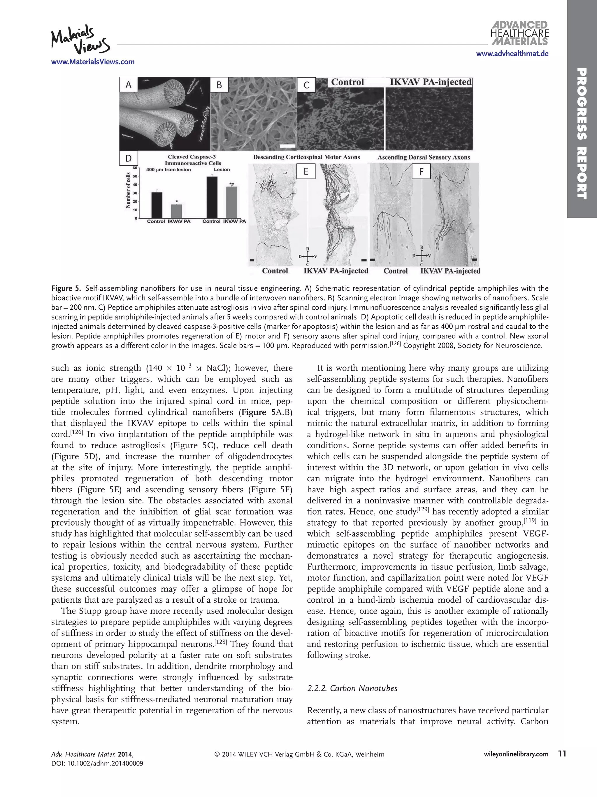 Nanoparticle for stroke | PDF