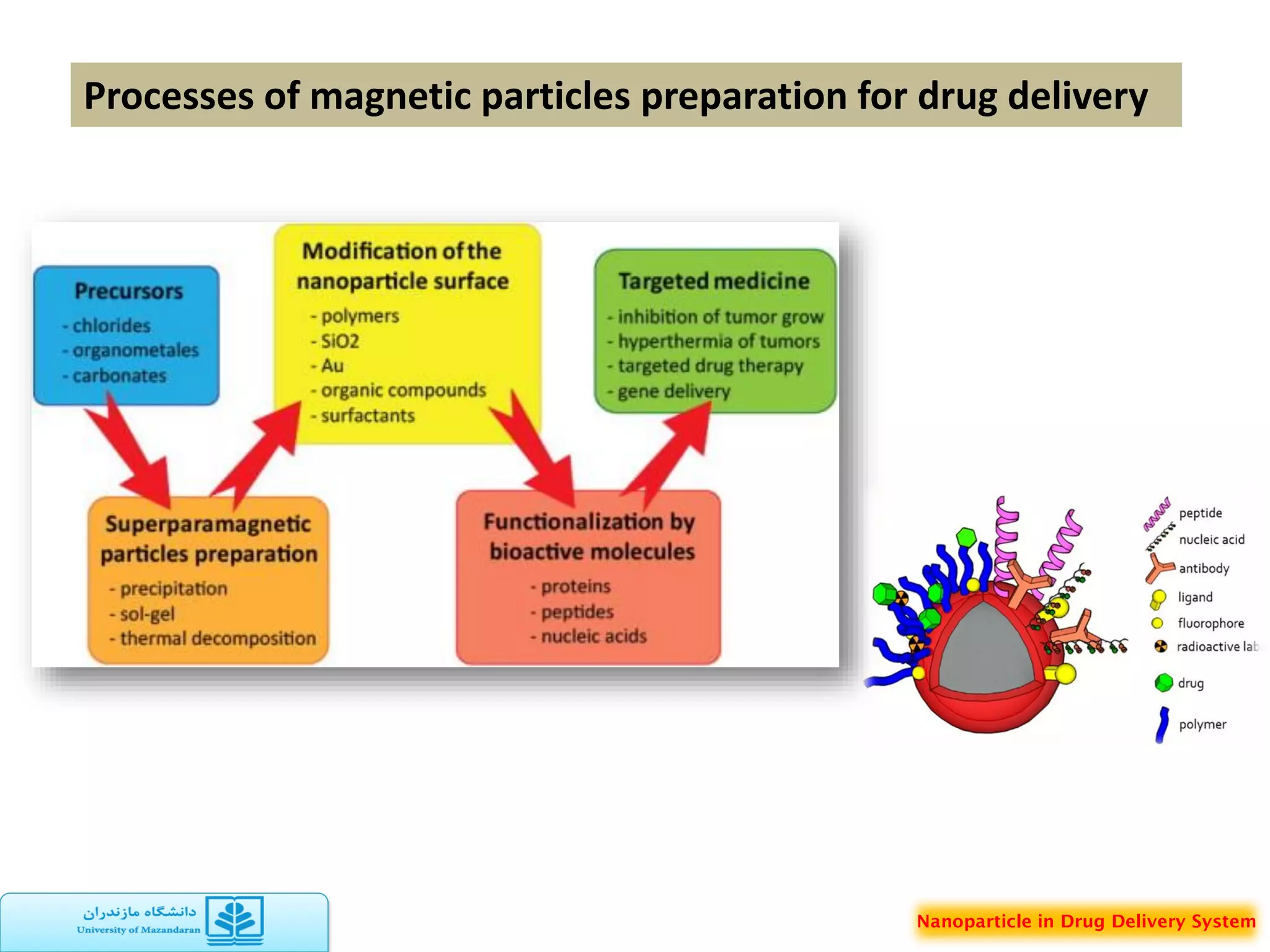 Nanoparticle in drug delivery system | PDF