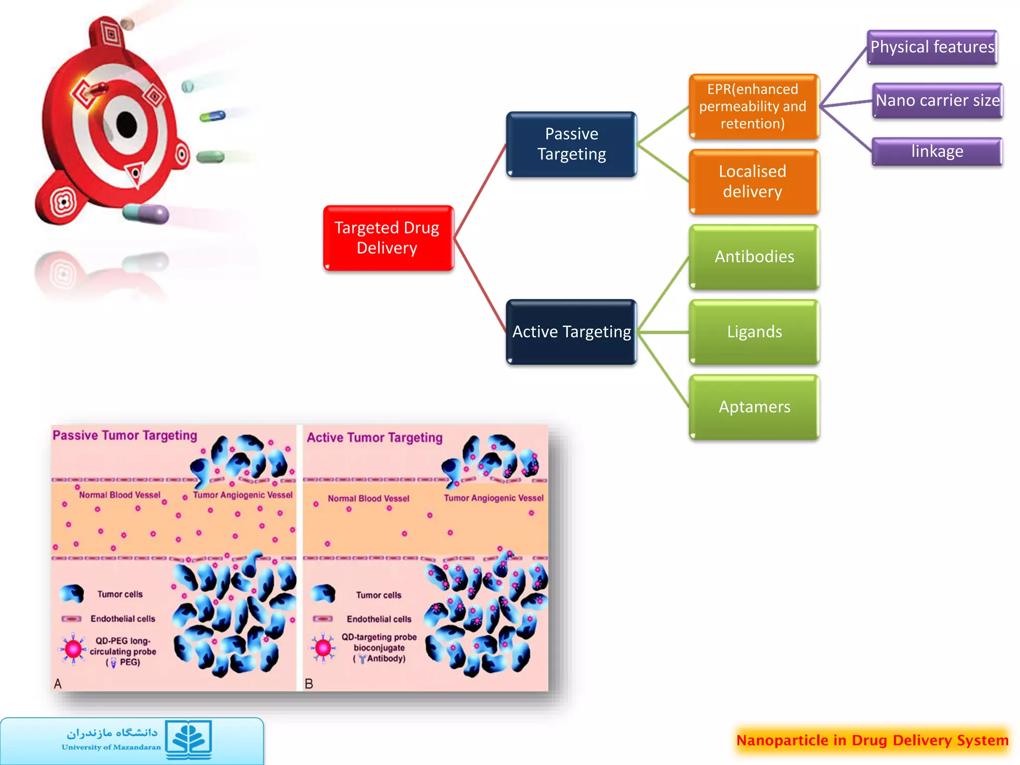 Nanoparticle in drug delivery system | PDF